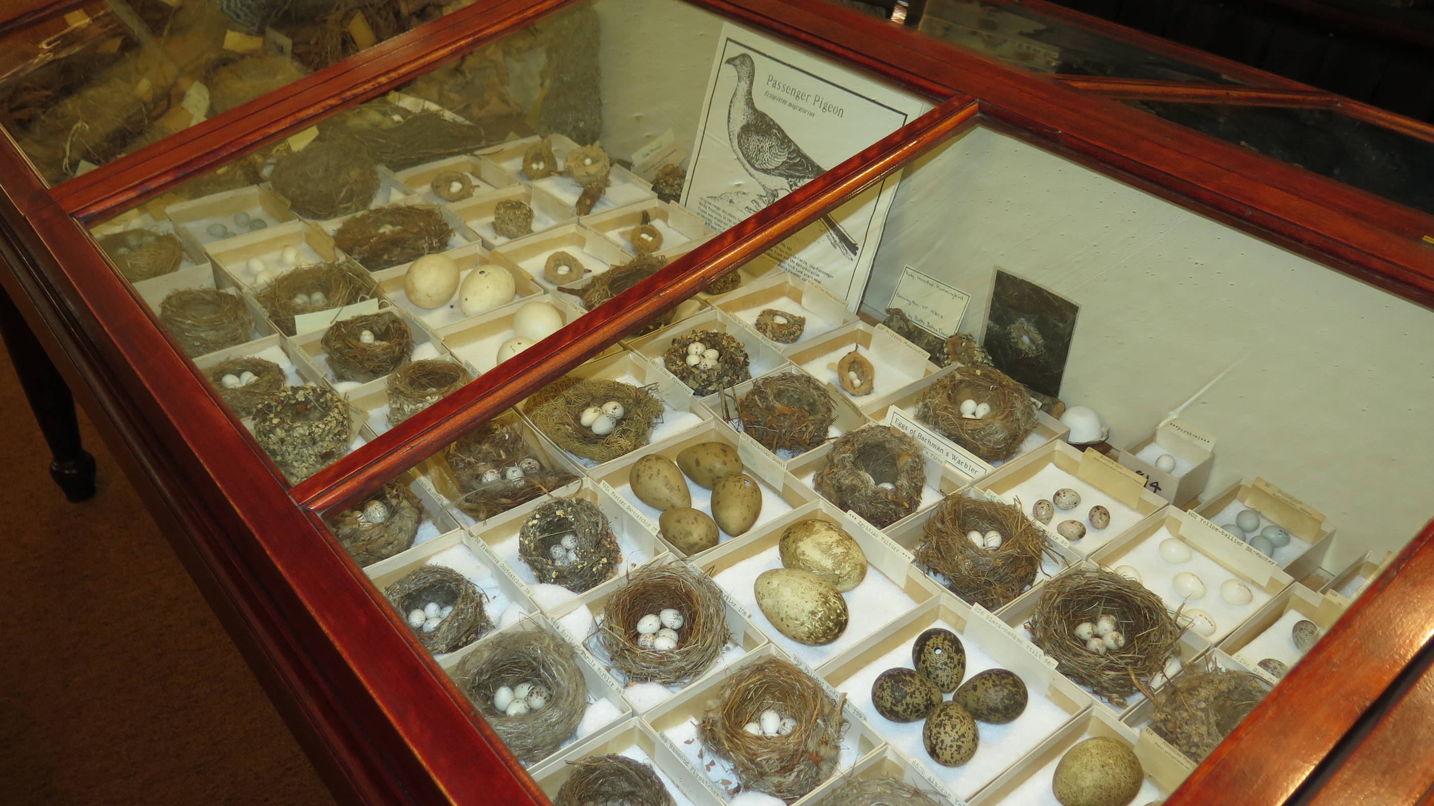 Collections – The Pember Museum and Library, Granville New York